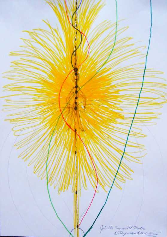 Twelve levels of the light body – Divine Soul Union